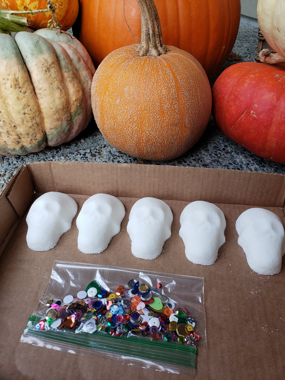Homemade Sugar Skull decorating kits – Skull Sisters